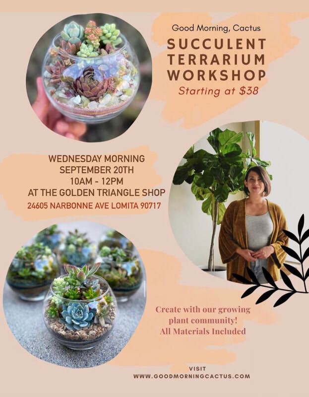 Shop All | good morning, cactus